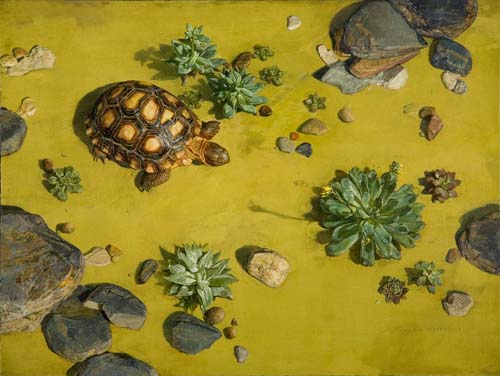 “Stems” Paintings by Jeffrey Ripple – ArtStormer