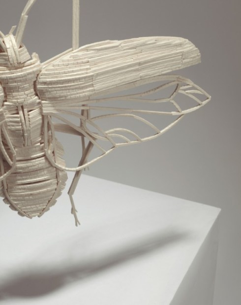 “A Bug’s Life” Insect Art by Kyle Bean – ArtStormer