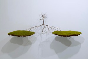 “Rooted” Sculptures by Jorge Mayet – ArtStormer