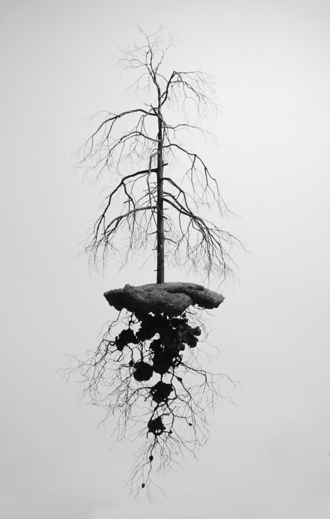 “Rooted” Sculptures by Jorge Mayet – ArtStormer