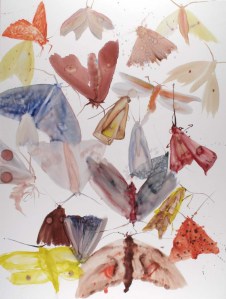 “Moth to a Flame” Paintings by Allyson Reynolds – ArtStormer