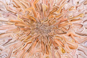 “Pin Up” Collage Works by David Adey – ArtStormer