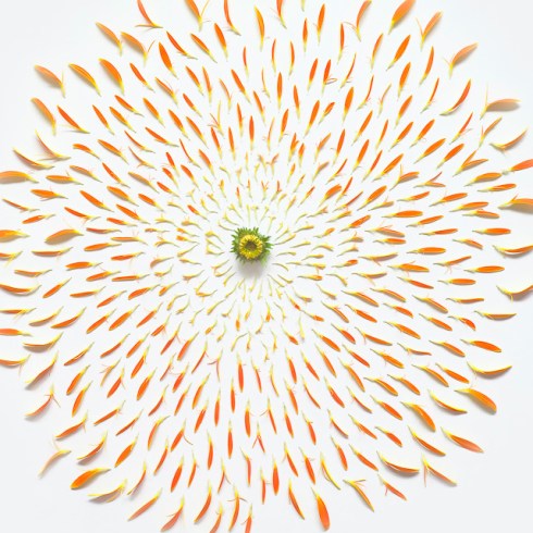 “She Loves Me” Photography by Fong Qi Wei – ArtStormer